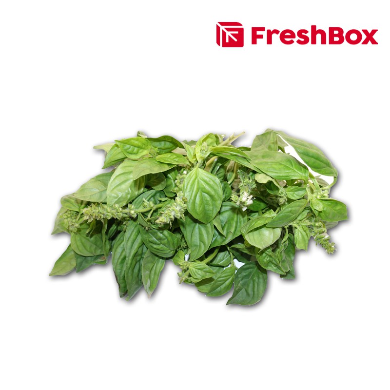 Jual Basil 100 gr FreshBox | Shopee Indonesia