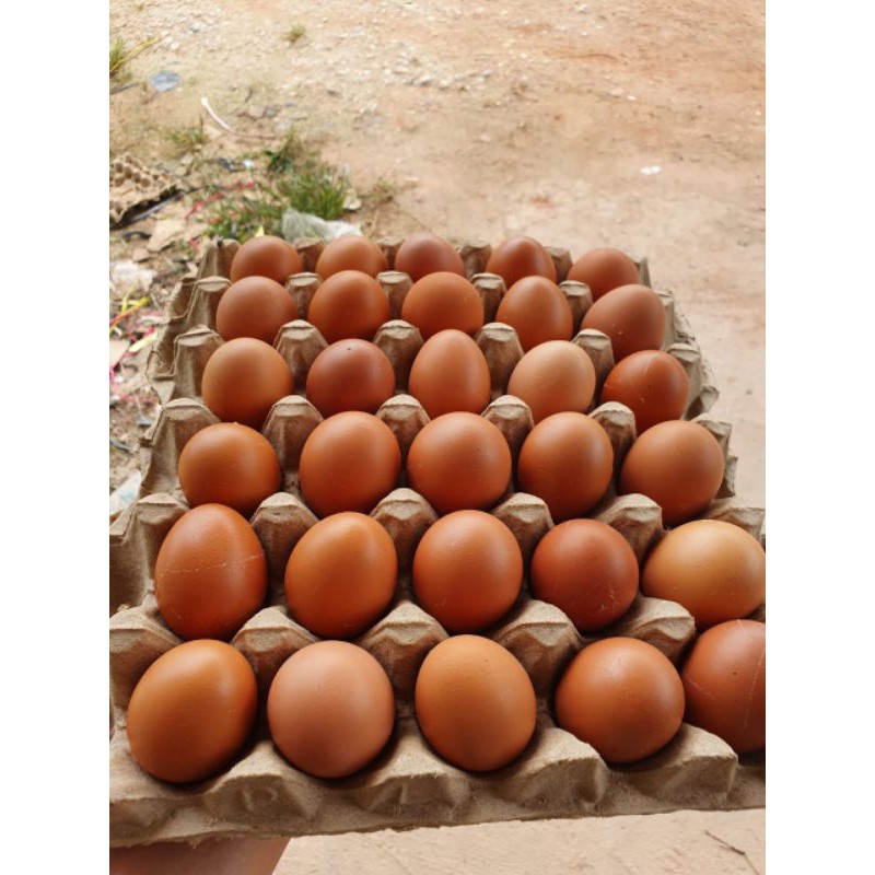 Jual Telur Ayam 1 Kg Terlengkap & Harga Terbaru April 2026 | Shopee ...