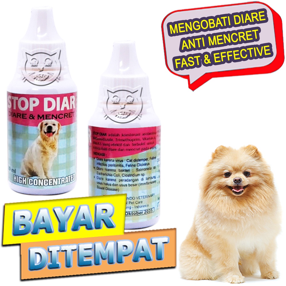 Jual Stop Diar High Concentrated Obat Mencret Diare Anjing | Shopee ... Jual Stop Diar High Concentrated Obat Mencret Diare Anjing | Shopee ...