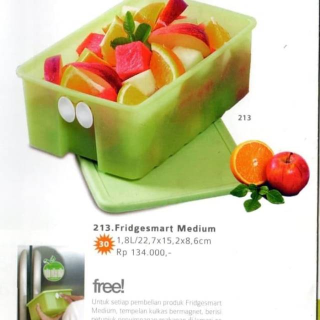 Jual Fridgesmart Medium | Tupperware Box Tempat Kotak Makan Original ...