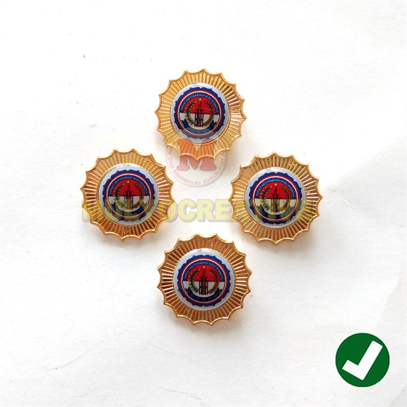 Jual Lencana Pin Perangkat Desa - Pin Logo PPDI | Shopee Indonesia
