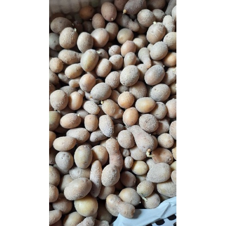 Jual benih kentang G0 dayang sumbi harga per 100biji | Shopee Indonesia