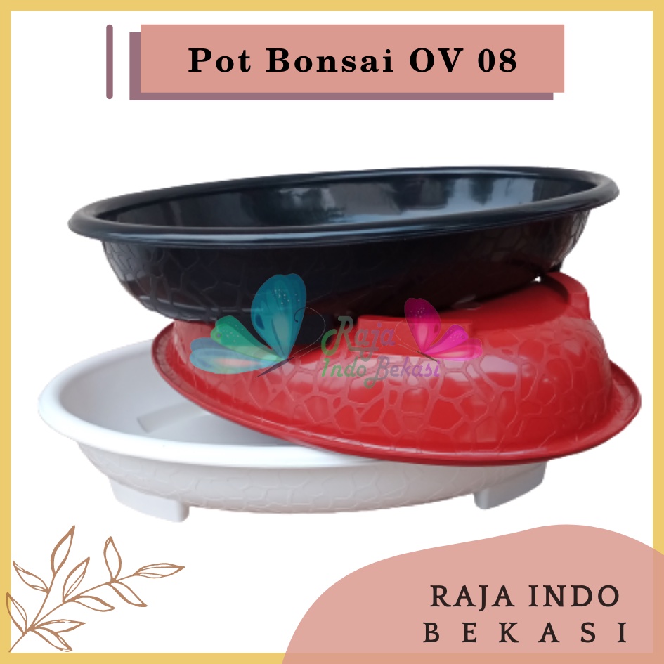 Jual Ori Bjp Bonsai Oval Ov 08 Putih Hitam Merah Bata Coklat Pot Bunga ...