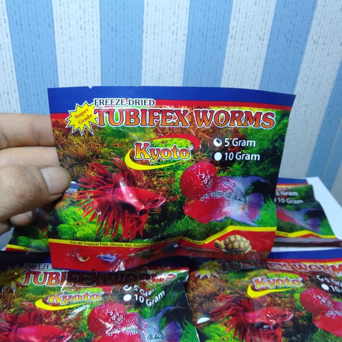 Jual Cacing Sutra Kering Tubifex Worms Kyoto 5Gr Cacing Kering | Shopee ...
