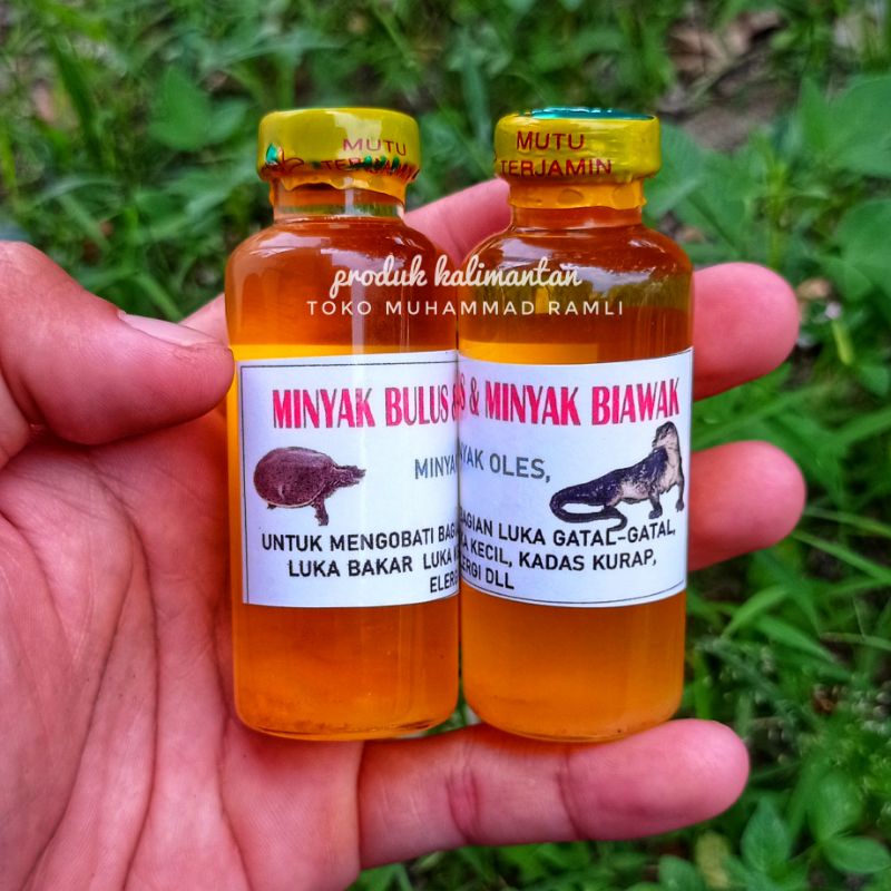 Jual Obat Luka Bakar Gatal-Gatal Oil Bulus Dan Minyak Biawak | Shopee ...