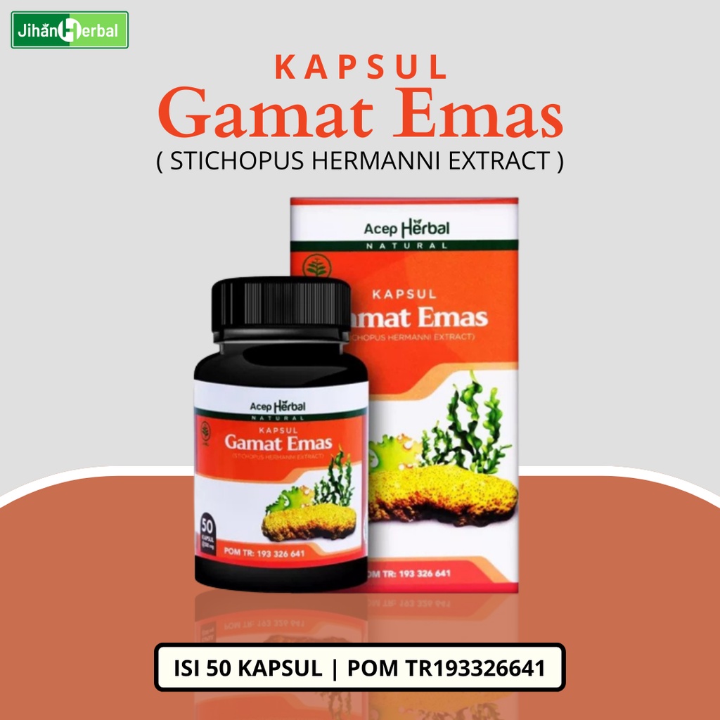 Jual Jihan Herbal - Gamat Emas Kapsul Original 100% Ekstrak Teripang ...