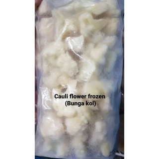 Jual Bunga Frozen Terlengkap & Harga Terbaru Maret 2025 | Shopee Indonesia