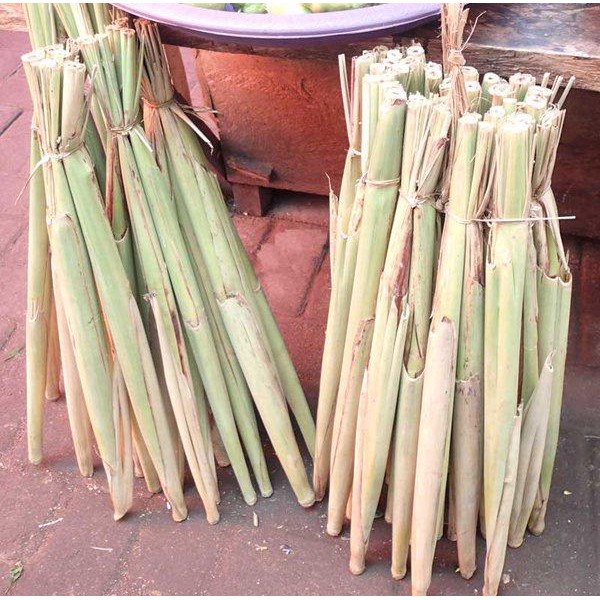 Jual Bunga Tebu Terubuk Terubus atau Turubuk 1kg | Shopee Indonesia