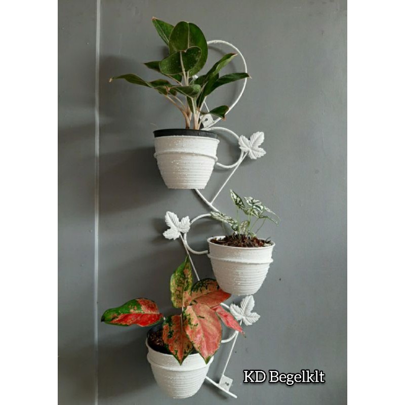 Jual Standing Pot Dinding ULIR + FREE Bonus pot /Rak Bunga Besi Tempel ...