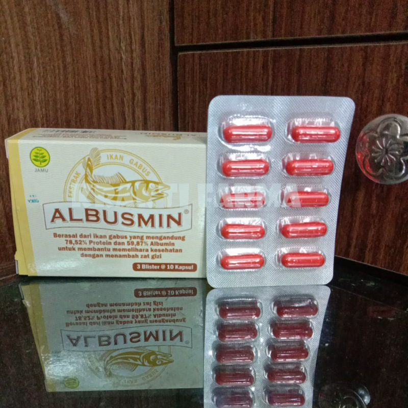 Jual ALBUSMIN Ekstrak Ikan Gabus (1 papan isi 10 Kapsul) | Shopee Indonesia