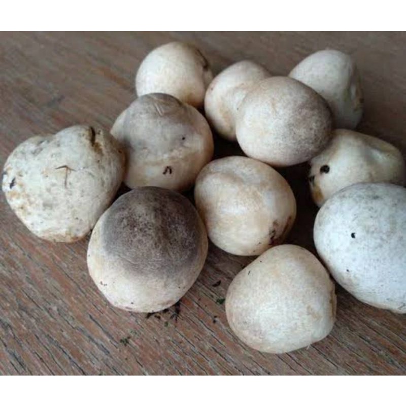 Jual Jamur Merang /Jamur Bulat Bandung | Shopee Indonesia