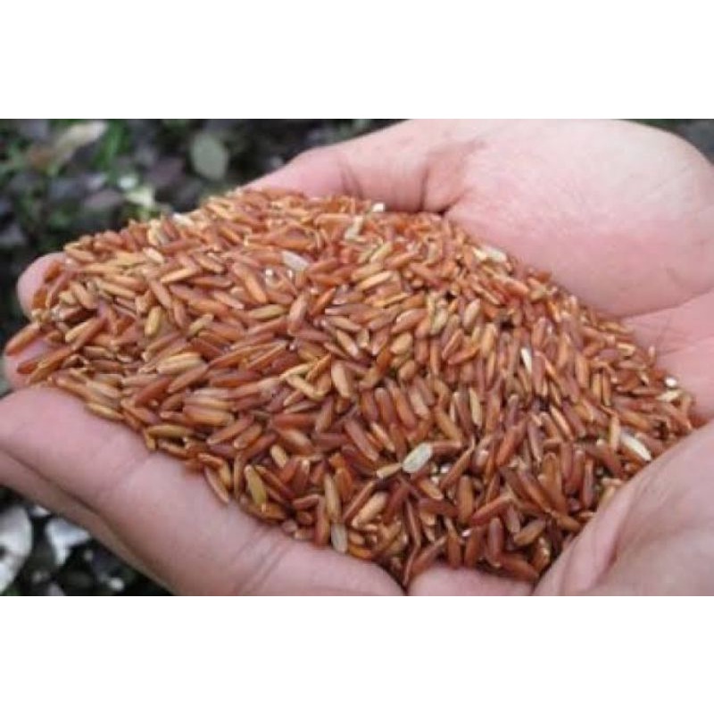 Jual Beras Merah/ Beras Organik/ Beras untuk diet 1kg | Shopee Indonesia