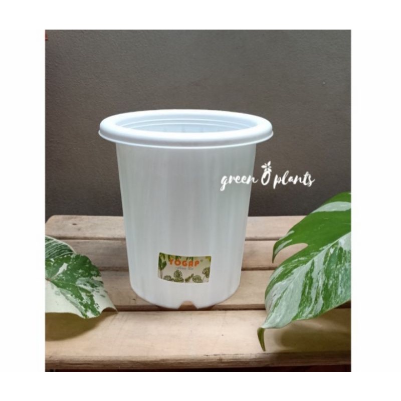 Jual Pot Bunga Tanaman Tinggi Plastik Tebal Yogap YPT 13 Putih | Shopee ...