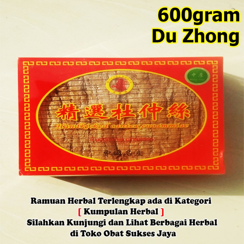 Jual [600gram Grade A ] Du Zhong / Tu Chung - Cortex Eucommiae Ulmoidis ...