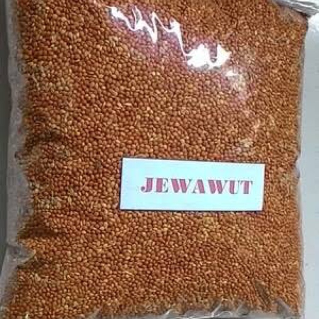 Jual Pakan biji jawawut 1 kg - biji jewawut - biji otek | Shopee Indonesia