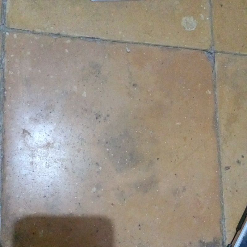 Jual Tehel | Shopee Indonesia