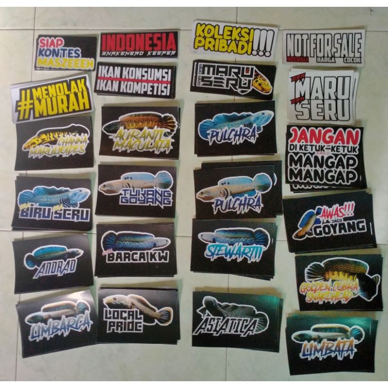 Jual STIKER CHANA hiasan aquarium tempelan akuarium channa | Shopee ...