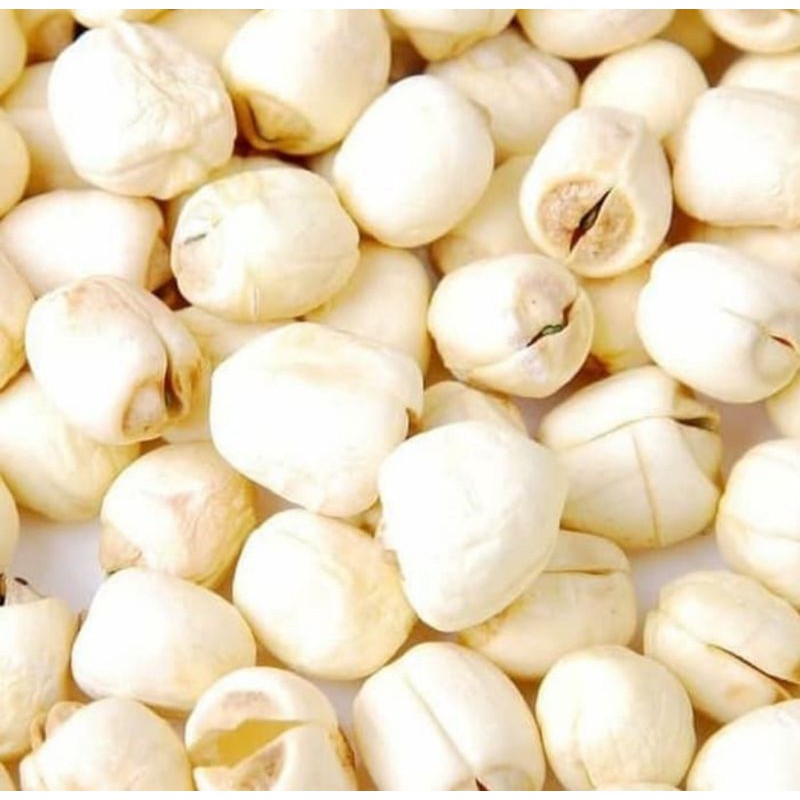 Jual biji teratai / lotus seed / lien zi import dari singapore 1kg ...