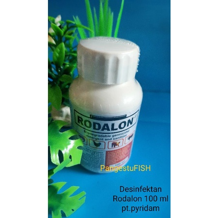Jual Rodalon desinfektan 100 ml | Shopee Indonesia