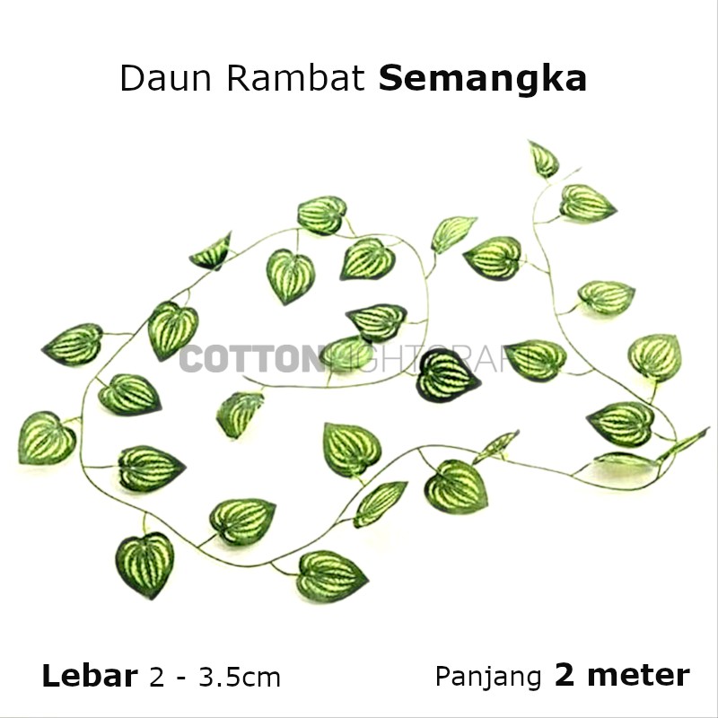 Jual Daun Rambat Plastik Semangka 2 meter / Wire Grid / Artificial Fake ...