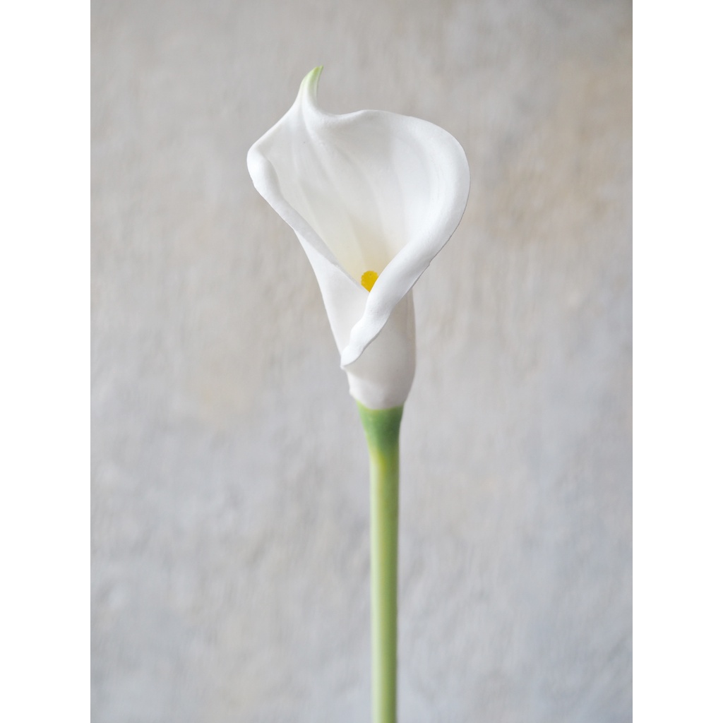 Jual Bunga Artificial Calla Lily Foam Kuncup (B22087) | Shopee Indonesia