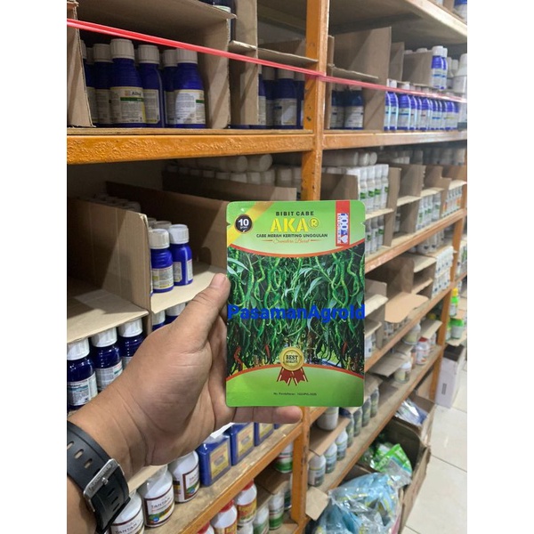 Jual COD - Benih Cabe Akar 10 Gram - CMK Akar 100% Asli Sumatera Barat ...