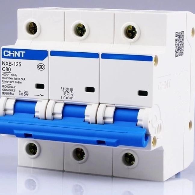 Jual Mccb / Mcb Chint Din Rail Nxb-125 10Ka 3P 80A 100A 125A | Shopee Indonesia