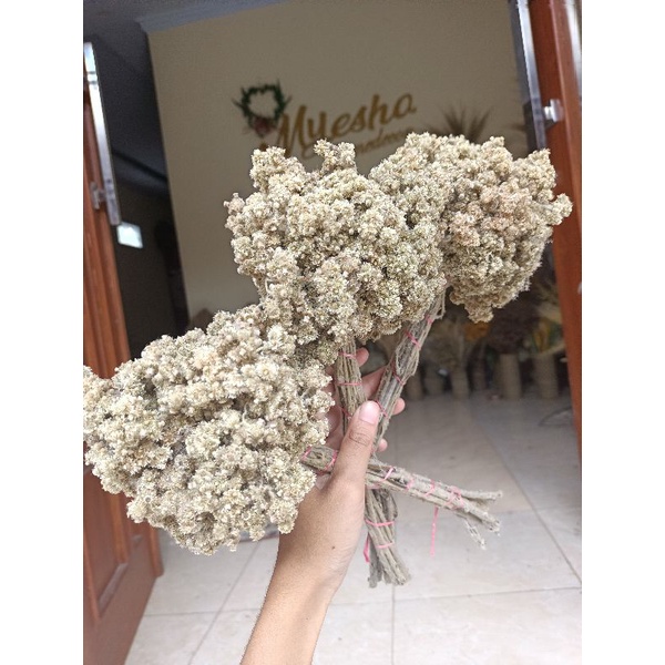 Jual bunga tanah layu abadi bunga kering cantik | Shopee Indonesia