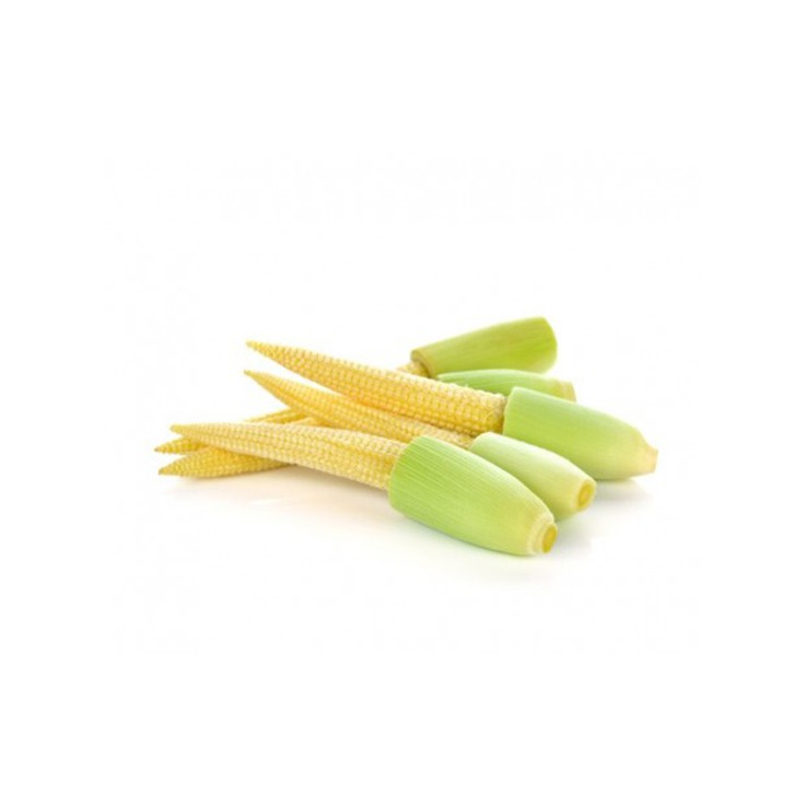 Jual Jagung Muda | Acar | Baby Corn [ Harga Per KG ] | Shopee Indonesia