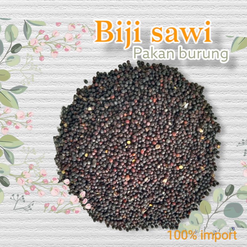 Jual Biji sawi pakan burung | Shopee Indonesia