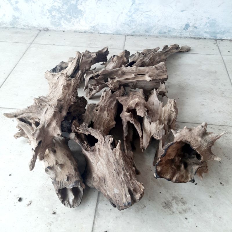 Jual Kayu Rentek Aquascape / Castawood ukuran L | Shopee Indonesia