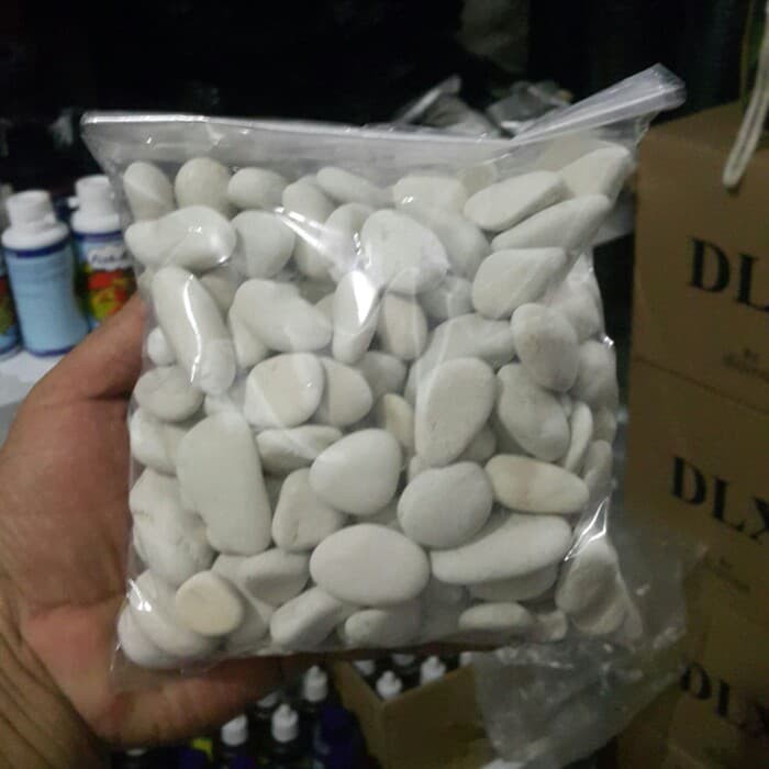 Jual Batu hias Koral Putih untuk taman dan pot 1 kg, 3 Kg, 5 Kg / Batu ...