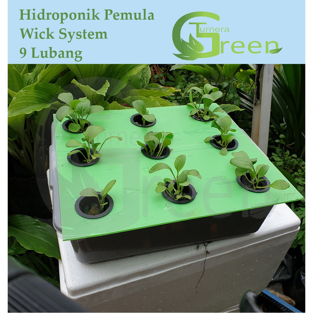 Jual Paket Starter Kit Hidroponik (Wick System) 9 lubang | Shopee Indonesia