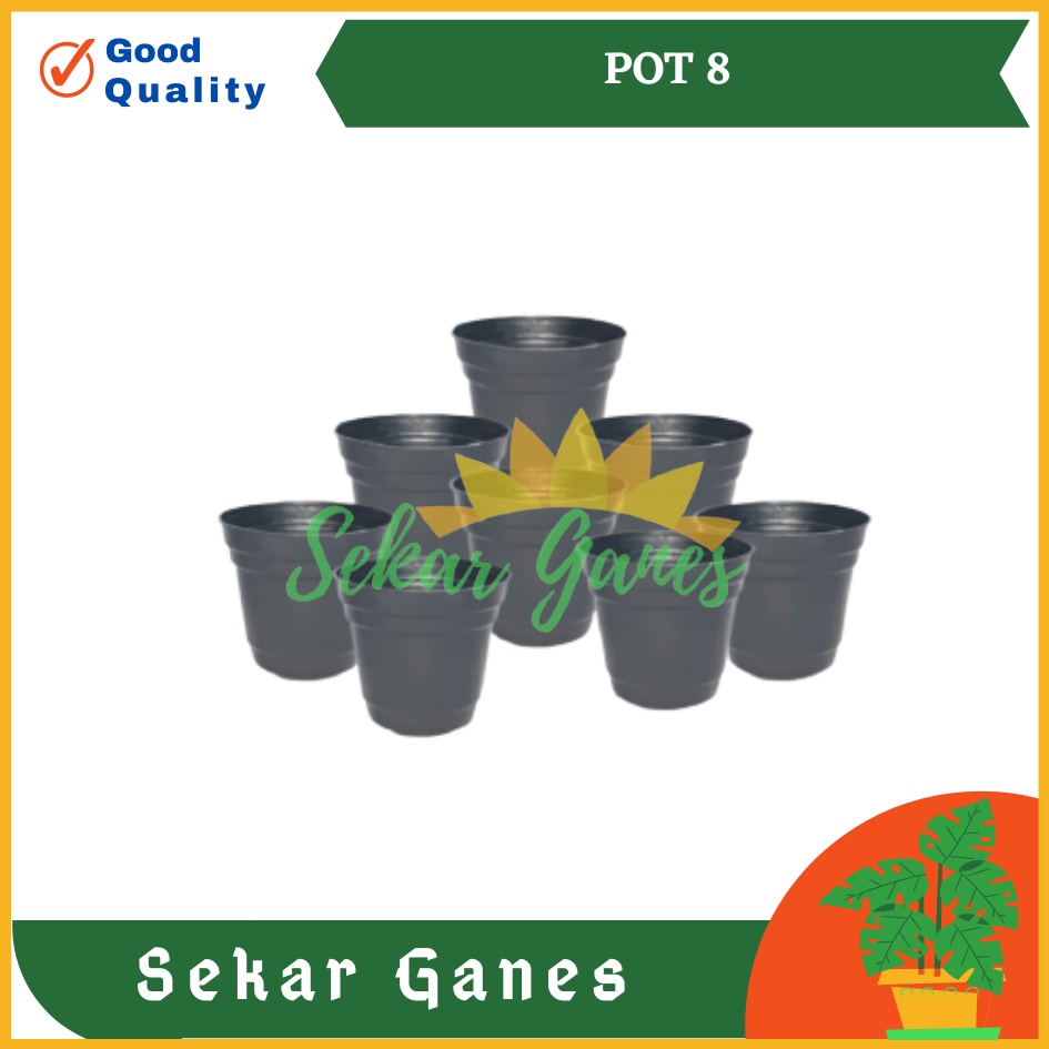 Jual Murah Pot 8 Cm Hitam Pot Bunga 8CM Plastik Kaktus Vas Bunga Kecil ...