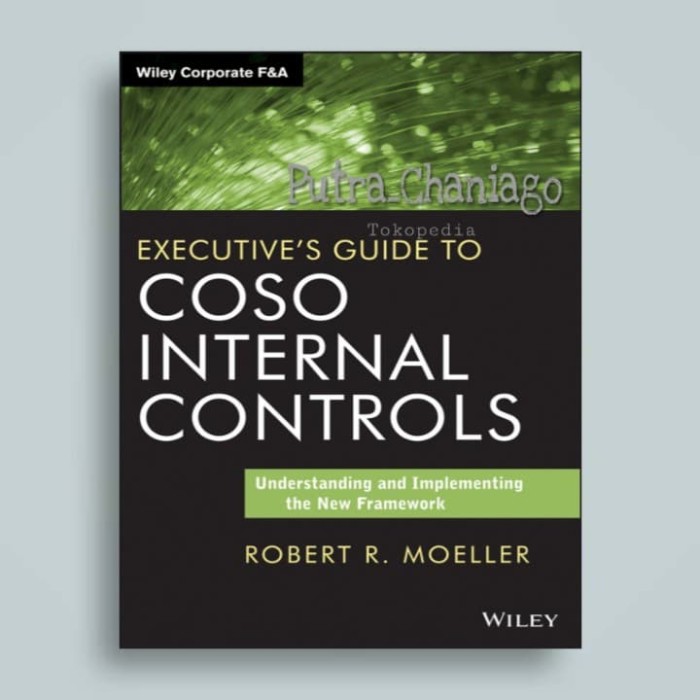 Jual Executive's Guide To Coso Internal Controls by Moeller ( Buku ... Jual Executive's Guide To Coso Internal Controls by Moeller ( Buku ...