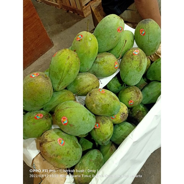 Jual mangga hm 1 kg | Shopee Indonesia