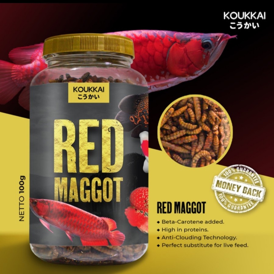 Jual RED MAGOT WITH BETA-CAROTENE KOUKKAI PAKAN ALTERNATIF IKAN ...