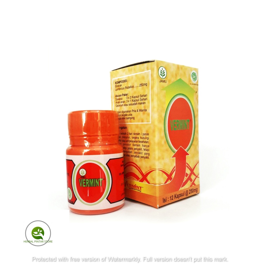 Jual VERMINT KAPSUL CACING ISI 12 KAPSUL UNTUK DEMAM TYPES | Shopee ...