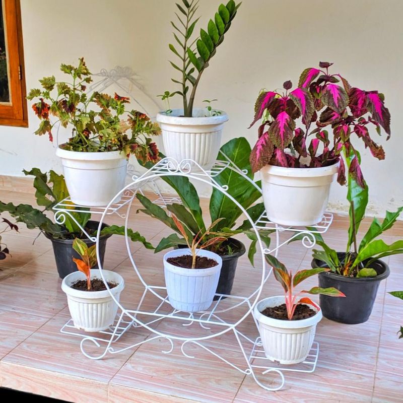 Jual standing pot super premium / standing pot besi /standing pot viral ...