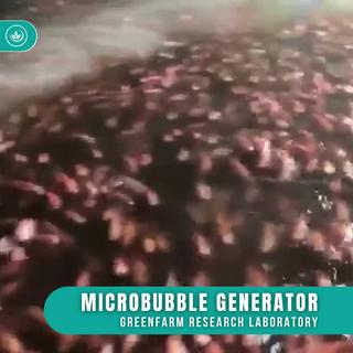 Jual Microbubble Generator Fine Micro Bubble Aerator | Shopee Indonesia
