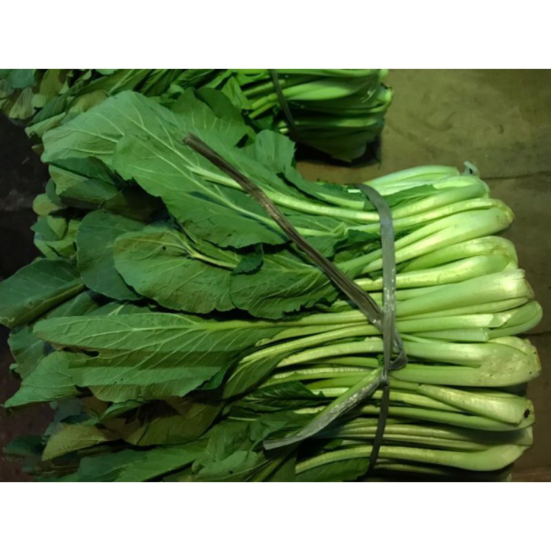 Jual Caisim (250 gr) | Shopee Indonesia