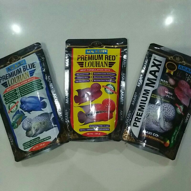 Jual Akari Premium Blue yellow Red Maxi LOUHAN PRO CHANNA predator ...