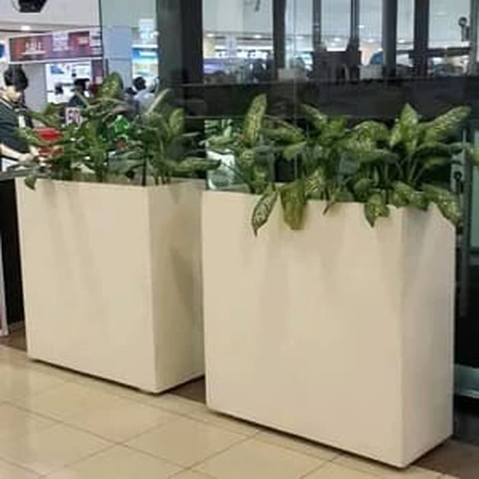 Jual Pot Kotak Minimalis Plenter Box | Shopee Indonesia