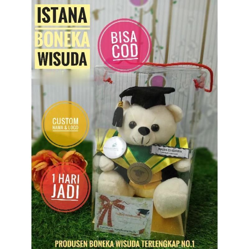 Jual Paket Boneka Wisuda 20 cm + Box + Toga Wisuda + Nama + Pin Kampus ...