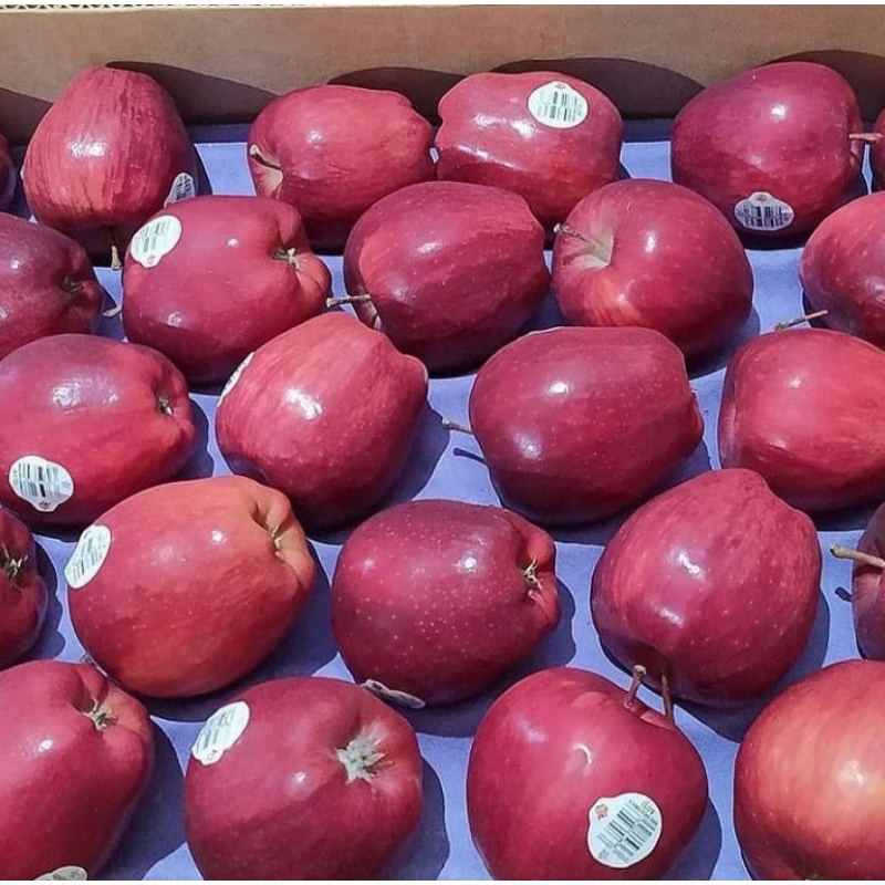 Jual Apel Merah Manis Segar Fresh | Shopee Indonesia