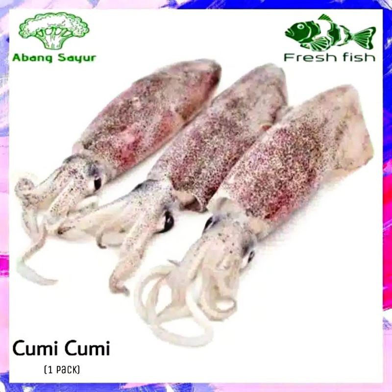 Jual Cumi Cumi Segar 250gr | Shopee Indonesia