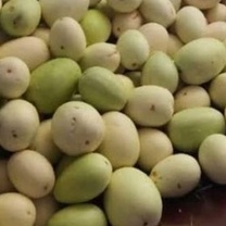 Jual Buah Timun Suri Segar 1kg Bonteng Suri Fresh 1 kg Untuk Es Buah ...