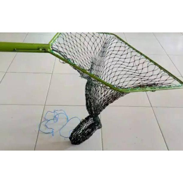 Jual (J8U7) ☆ Serok Ikan Besar,Serok Ikan Siap Panen,Serok Brojol Untuk ...