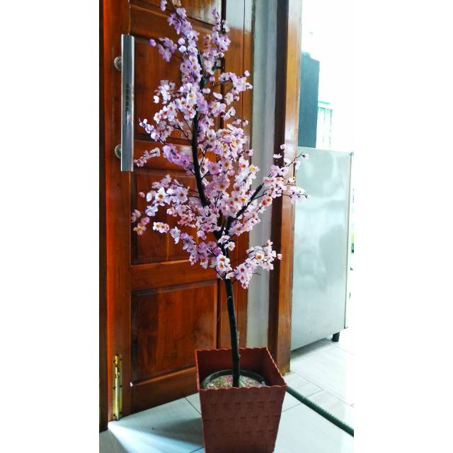 Jual Bunga sakura pohon kayu asli | Shopee Indonesia