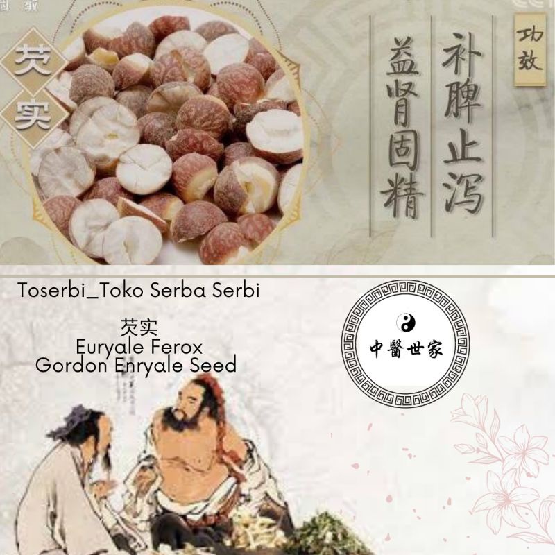 Jual 100gr qian shi / euryale ferox / fox nut / Gordon Enryale Seed ...